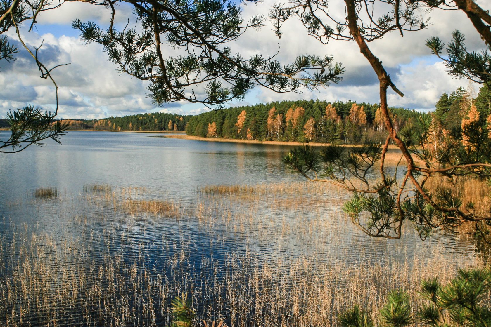 Night tours | LitWild | Visaginas | Lithuania