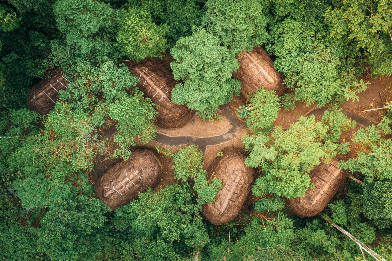 Ayahuasca Retreat in Ecuador | Unique Ceremonies with Achuar Tribes
