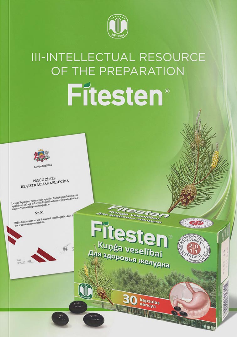 Our Projects — BF ESSE