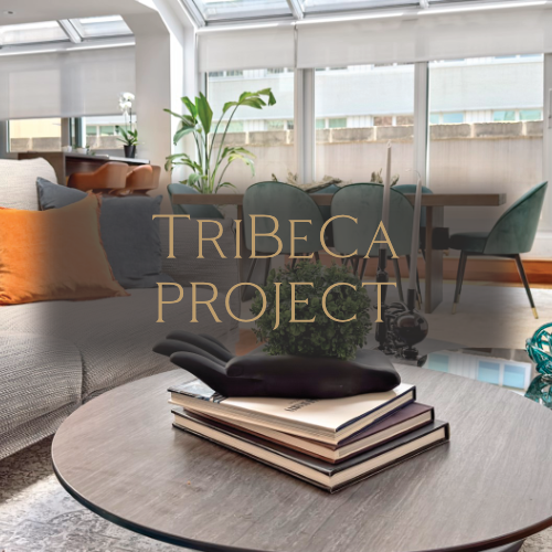 TriBeCa Project