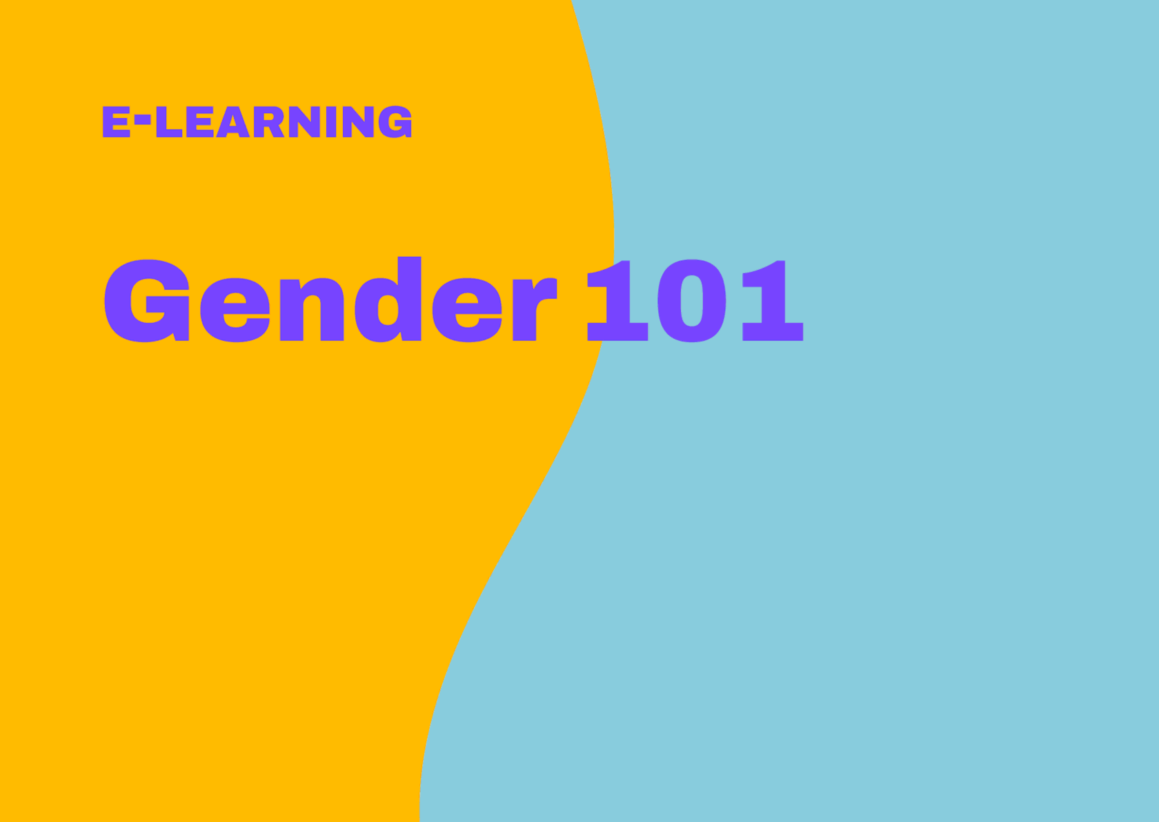 Gender 101, dé e-learning over gender.