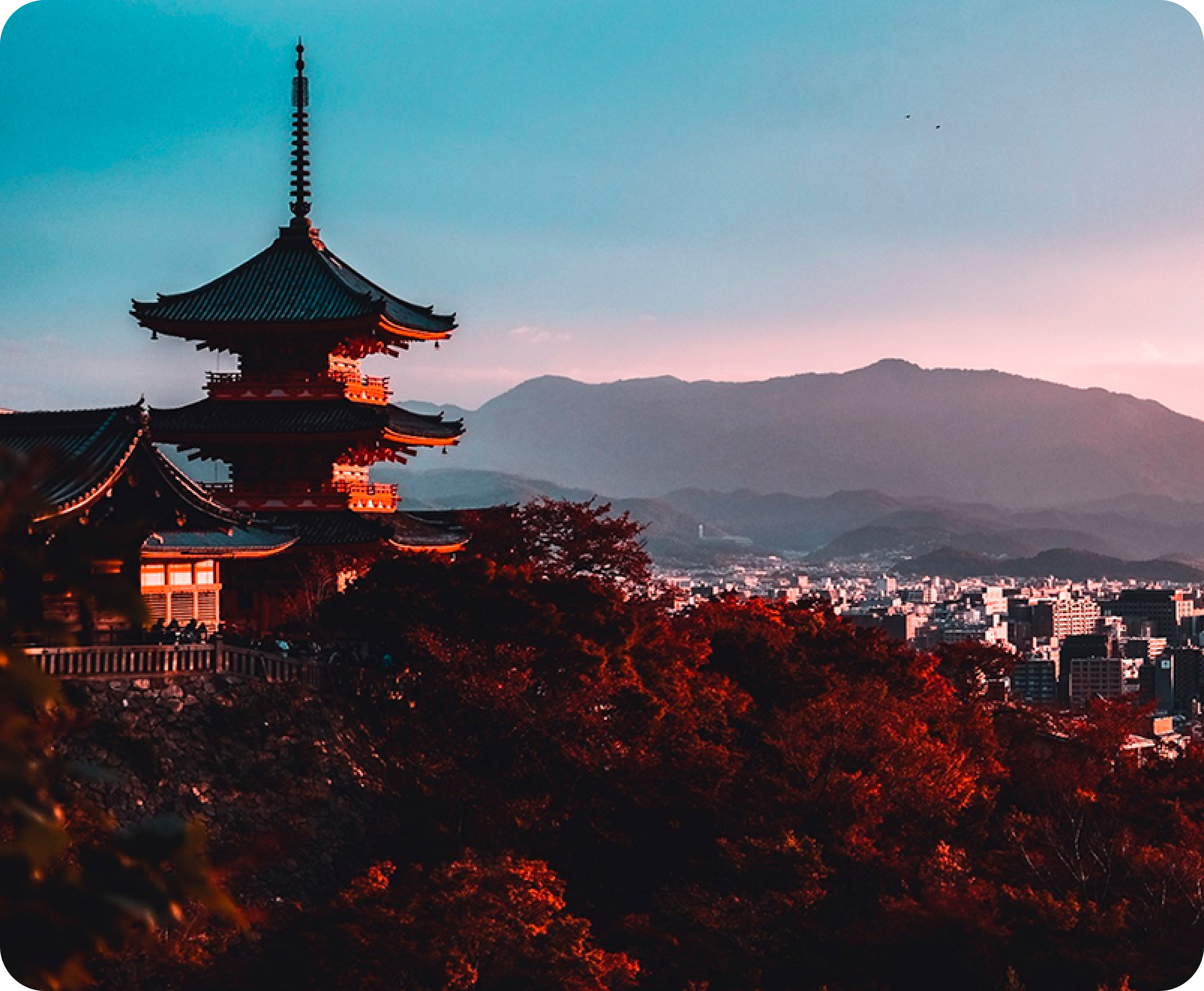 PULSAR VC — Venture Сapital Platform