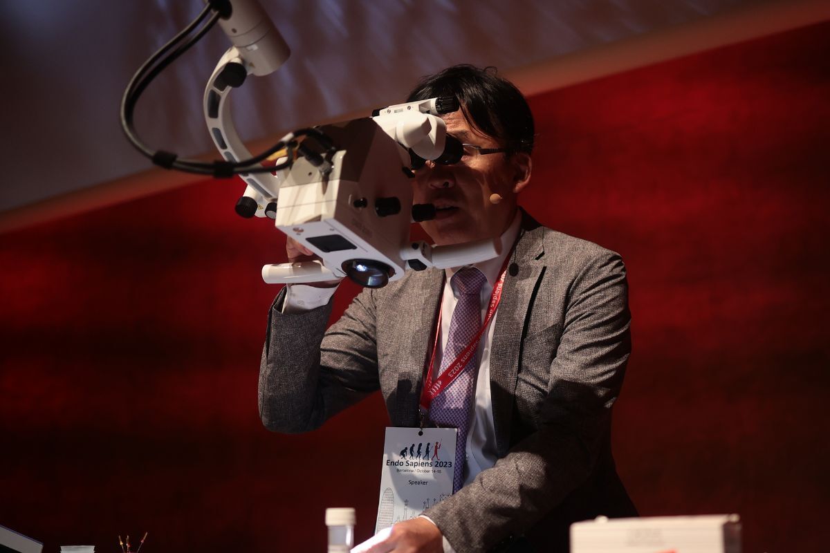 Endo Sapiens 2025 by Domenico Ricucci in Amsterdam