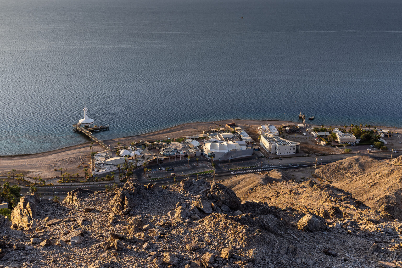 Red Sea's 'Super Corals' Prove Resistant Amid Rising Ocean Temperatures ...
