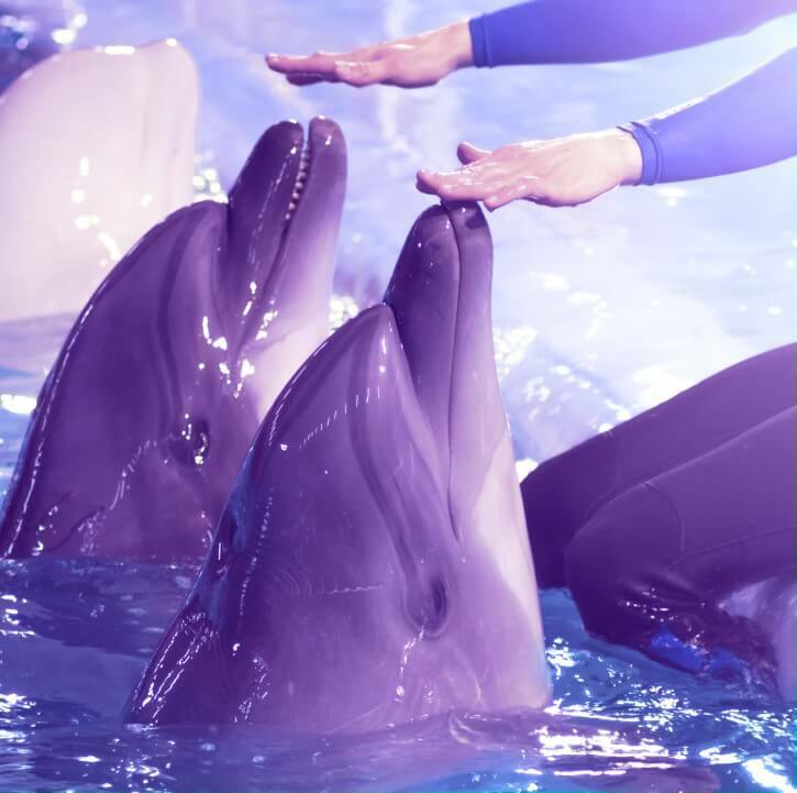 Nurdle — Accelerate AI Production with High-Quality Data