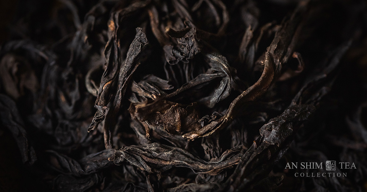 Rou Gui | Cinnamon Aroma | Wuyi Rock Tea