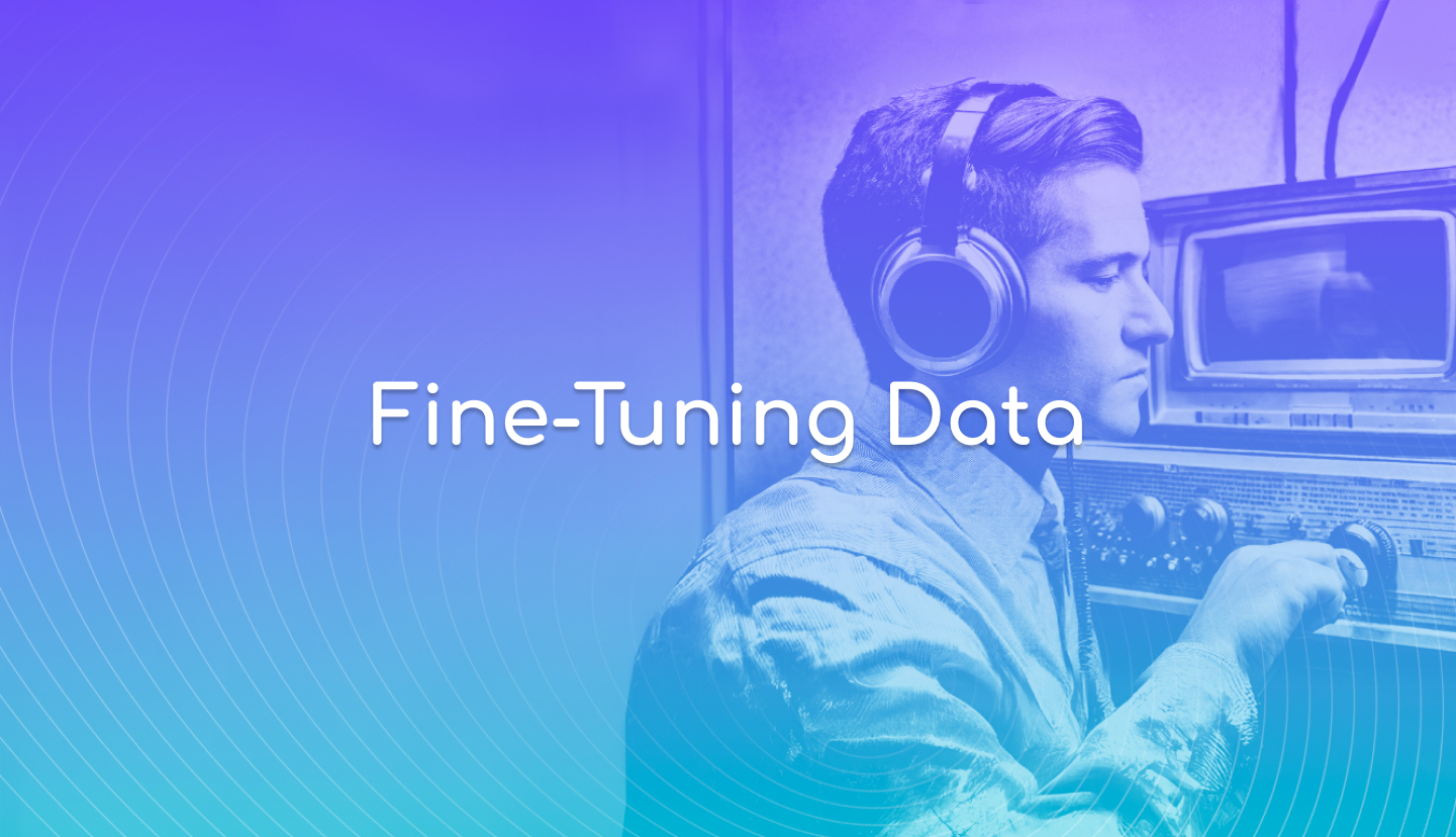 Fine-Tuning Data: Custom AI Solutions & Nurdle Expertise
