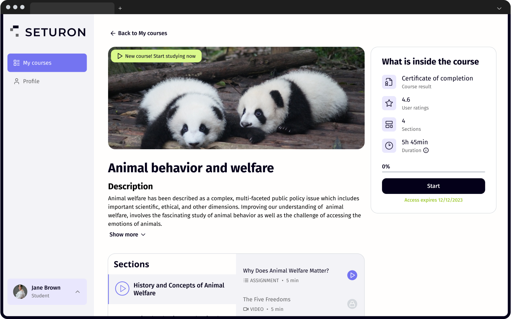 Custom E-Learning Course Creation — Seturon