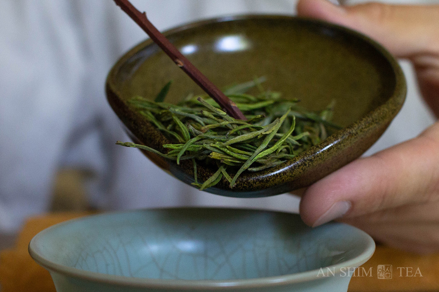 Anji Bai Cha — Rare Chinese White Tea from Anji