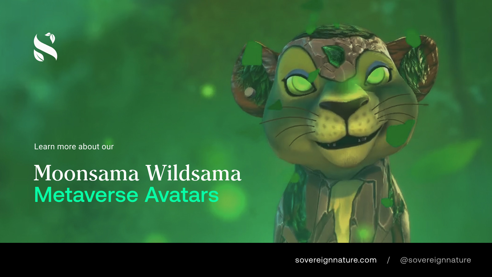 Moonsama Wildsama NFT Collection