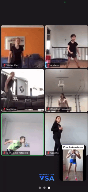 PEAK PERFORMANCE PROGRAM