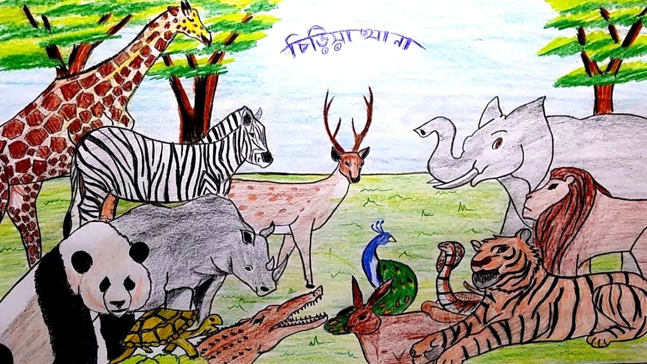 Drawing Animals Workshop for children | ArtZone - Art Studio in Lisbon