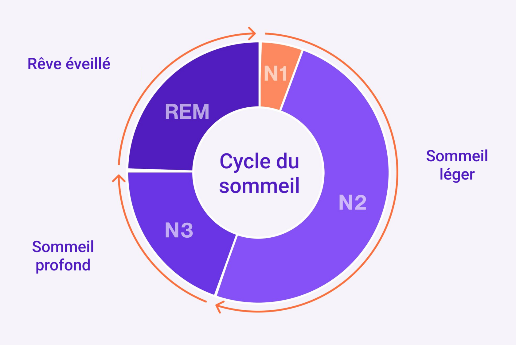 Comprendre les différents cycles du sommeil