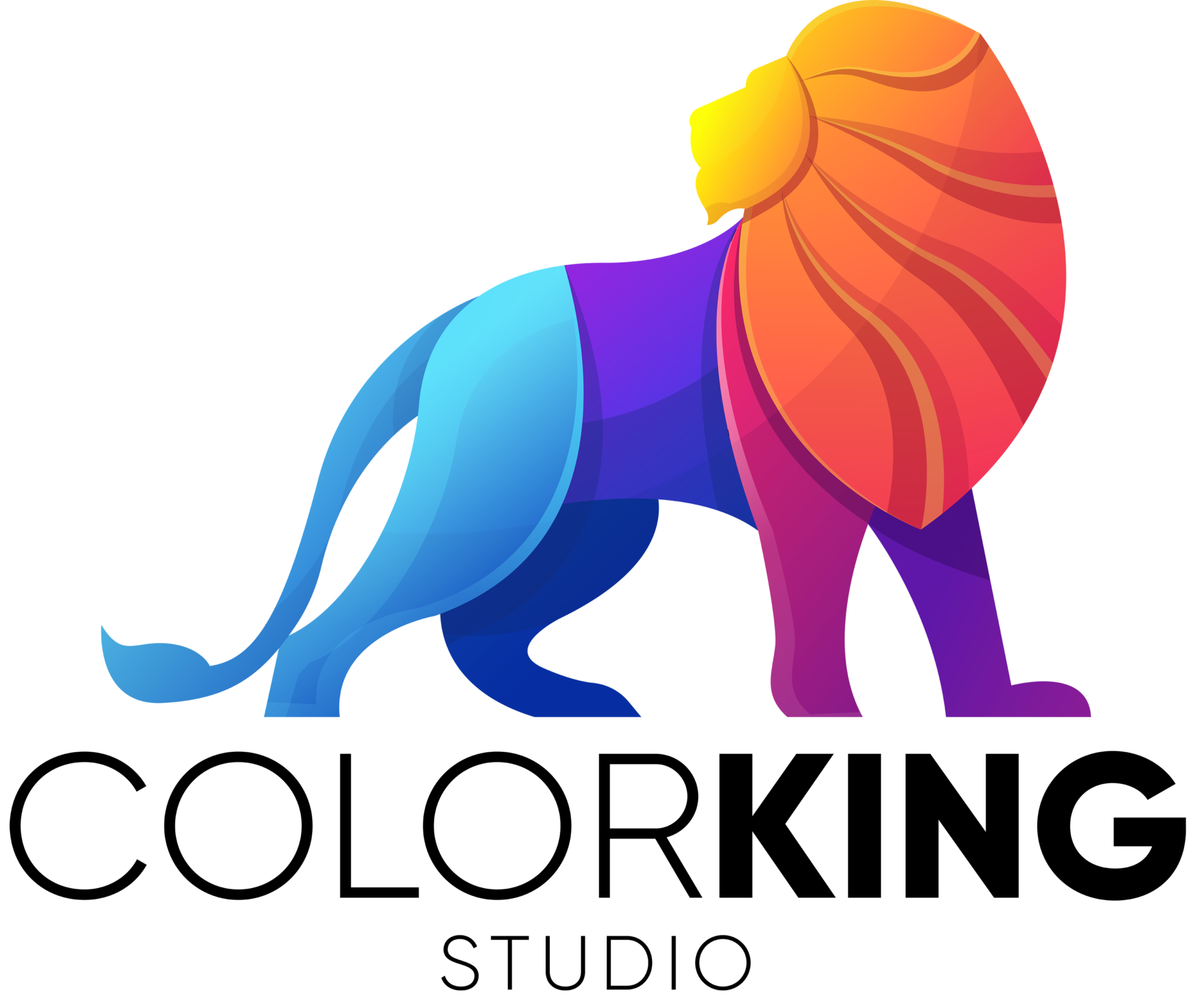 Color King Studio - custom wall name decals for boys and girls