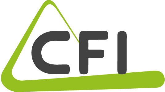 CFI - Digital Solutions for Business