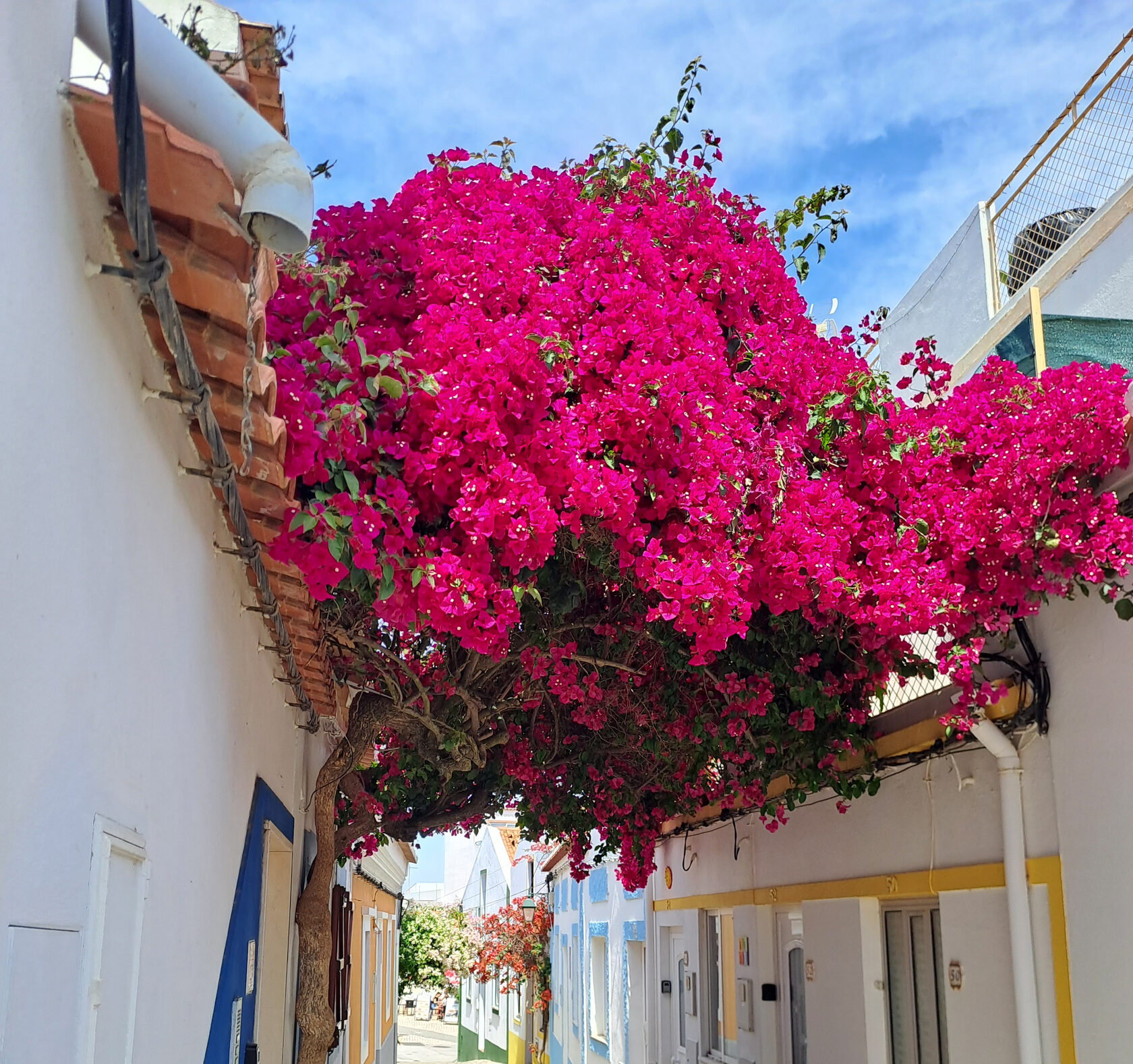 2024’s most popular spring destinations | DiscoverCars.com