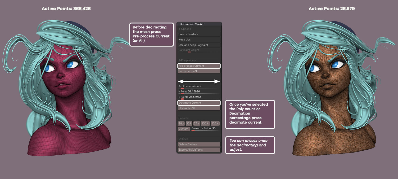 Zbrush Plugins: Decimation Master