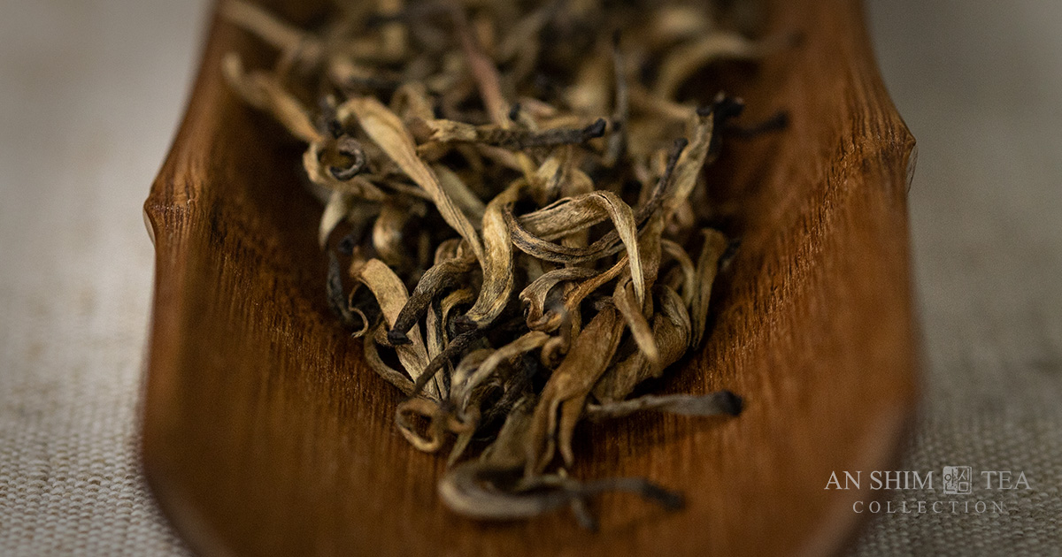 Black Moon | Ha Giang Ancient Bud Tea | Award-Winning Vietnamese Red Tea