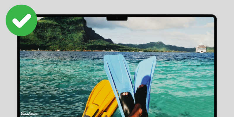 A Beginner's Guide to Swimming Fins: Long vs. Short Fins and Their Purpose