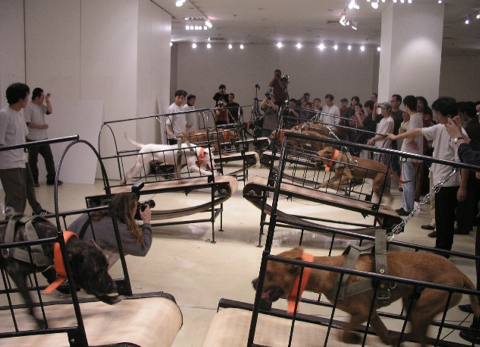 Can’t Help Myself Art: Unveiling Its Meaning and Emotional Depth