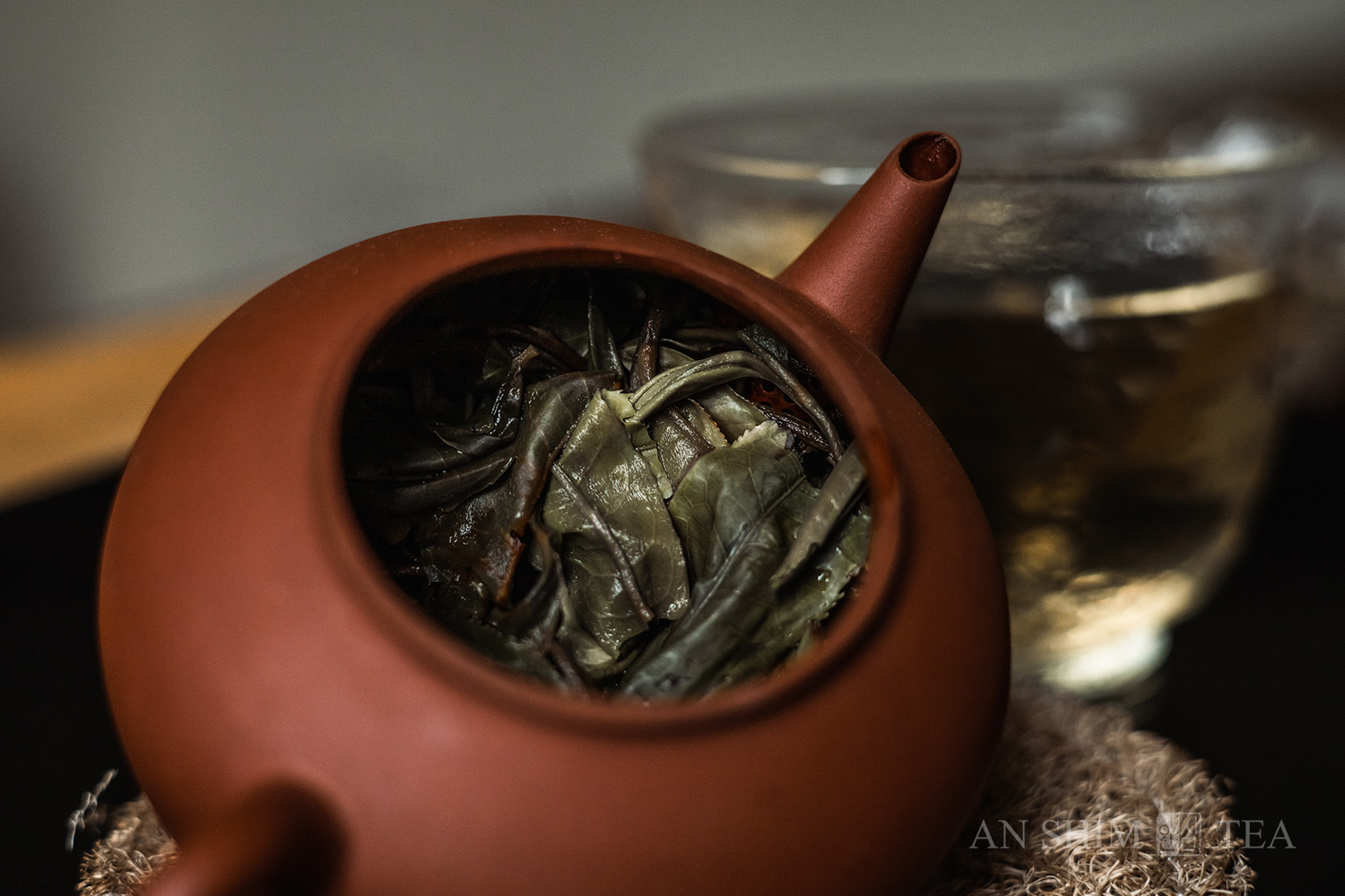 2023 Bing Dao Gu Shu Mao Cha | Ancient Tree Raw Tea | Yunnan Sheng Pu’er