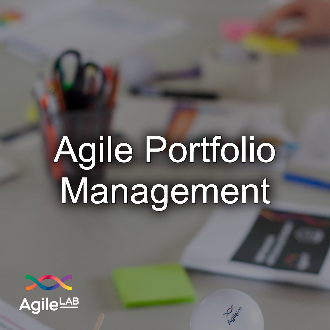 Agile Portfolio Management | AgileLAB Agile Portfolio Management | AgileLAB
