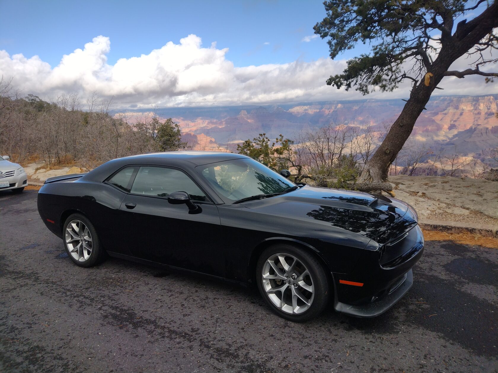 All You Need to Know About Additional Drivers