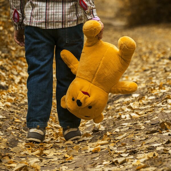 Sona Research Participant Pool