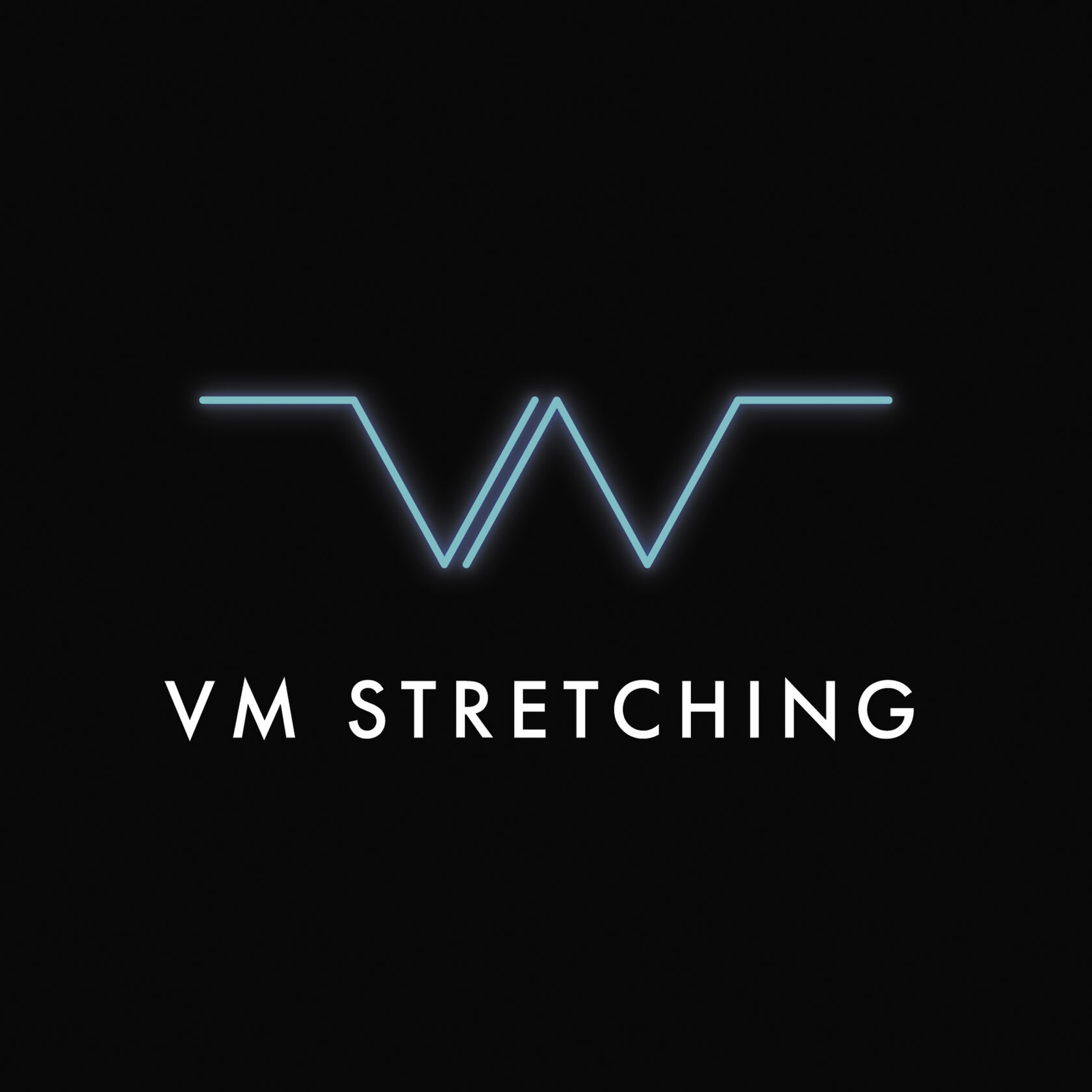 VM Stretching - strečink, fitness a taneční studio v centru Prahy!