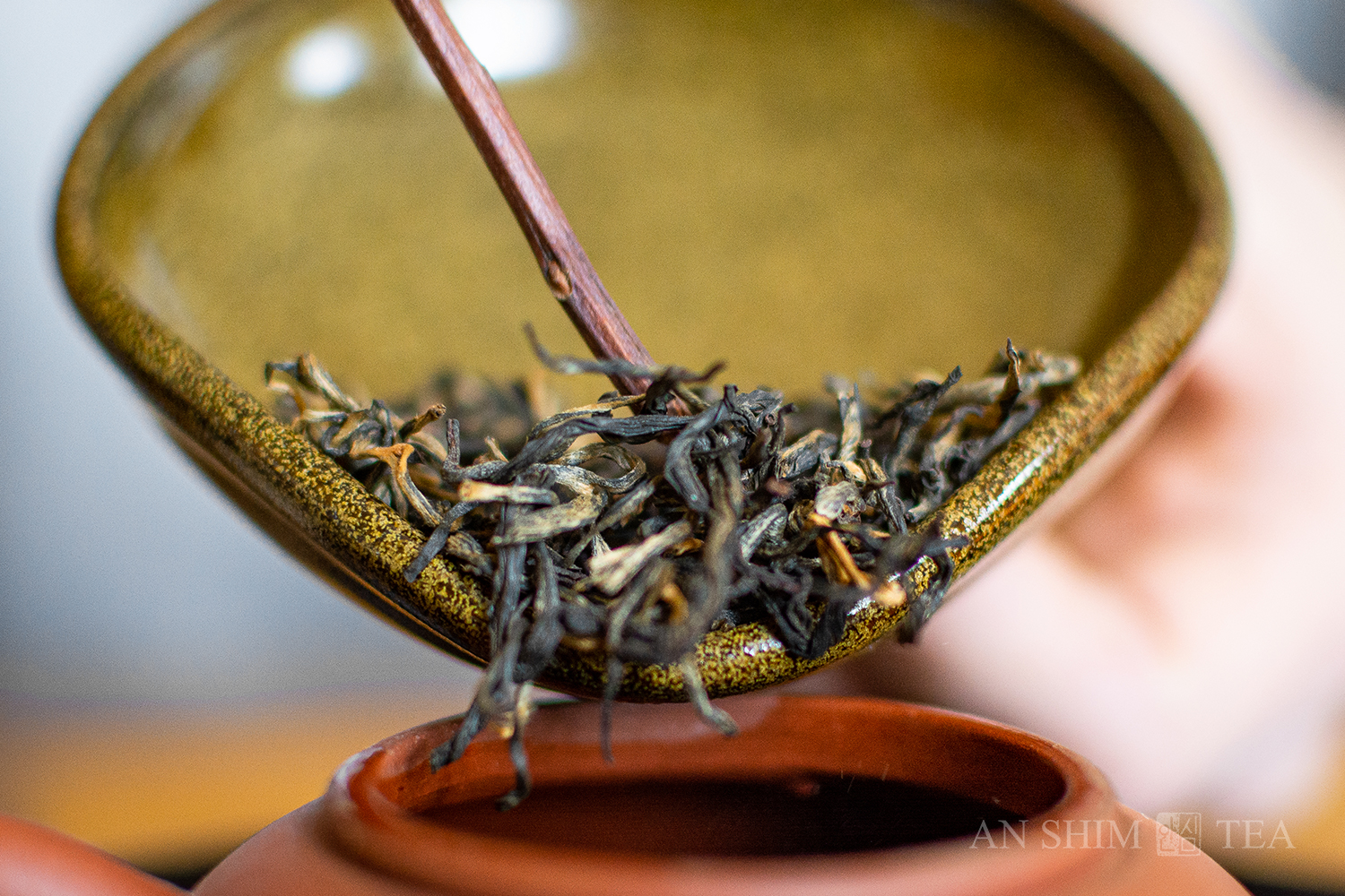 Zao Chun Lao Shu Dian Hong | Early Spring Harvest | Yunnan Red Tea