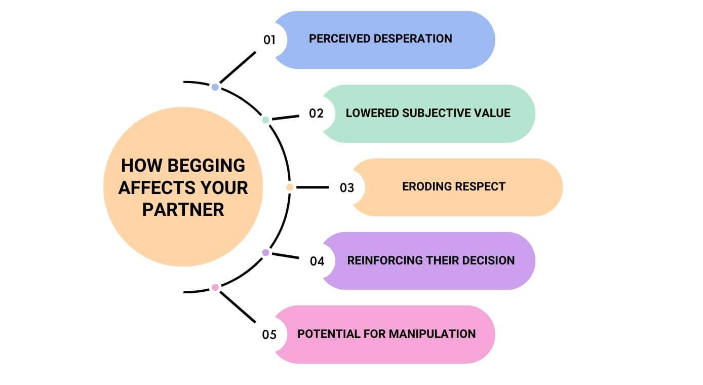 Will No Contact Work After Begging? (Updated)