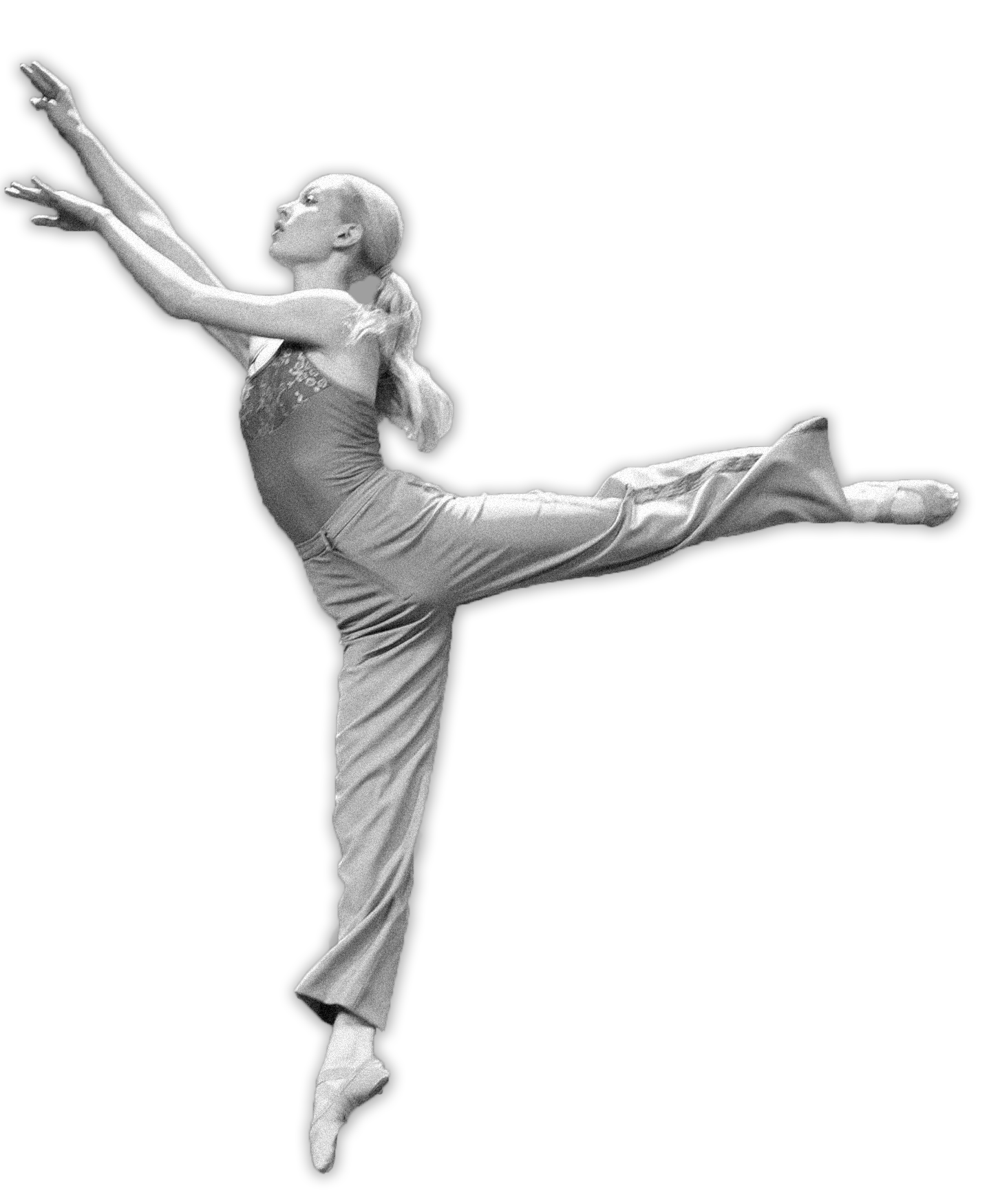 Dance Fest - International Dance Festivals