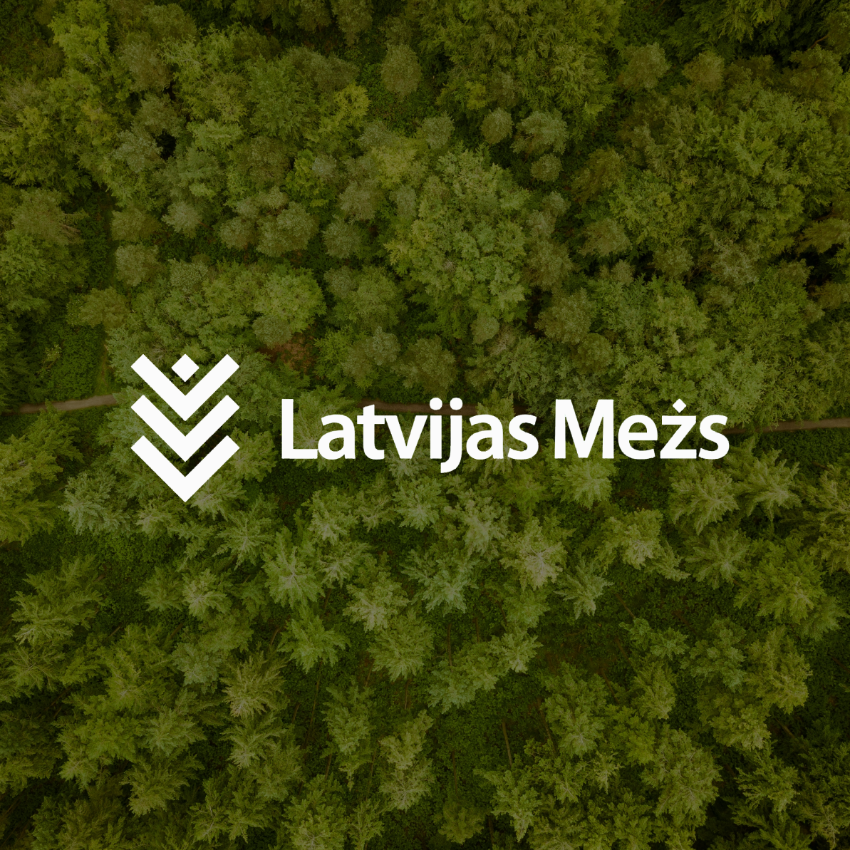 D21 Studio klients | "Latvijas Mežs" Izkārtne | Telpiskie burti | LED ...