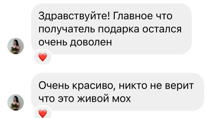 Moss Art Studio – Preserved Moss Wall Art & Eco Interior Decor