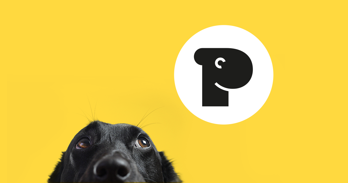 Petmall Brand Identity • Enthusiasm