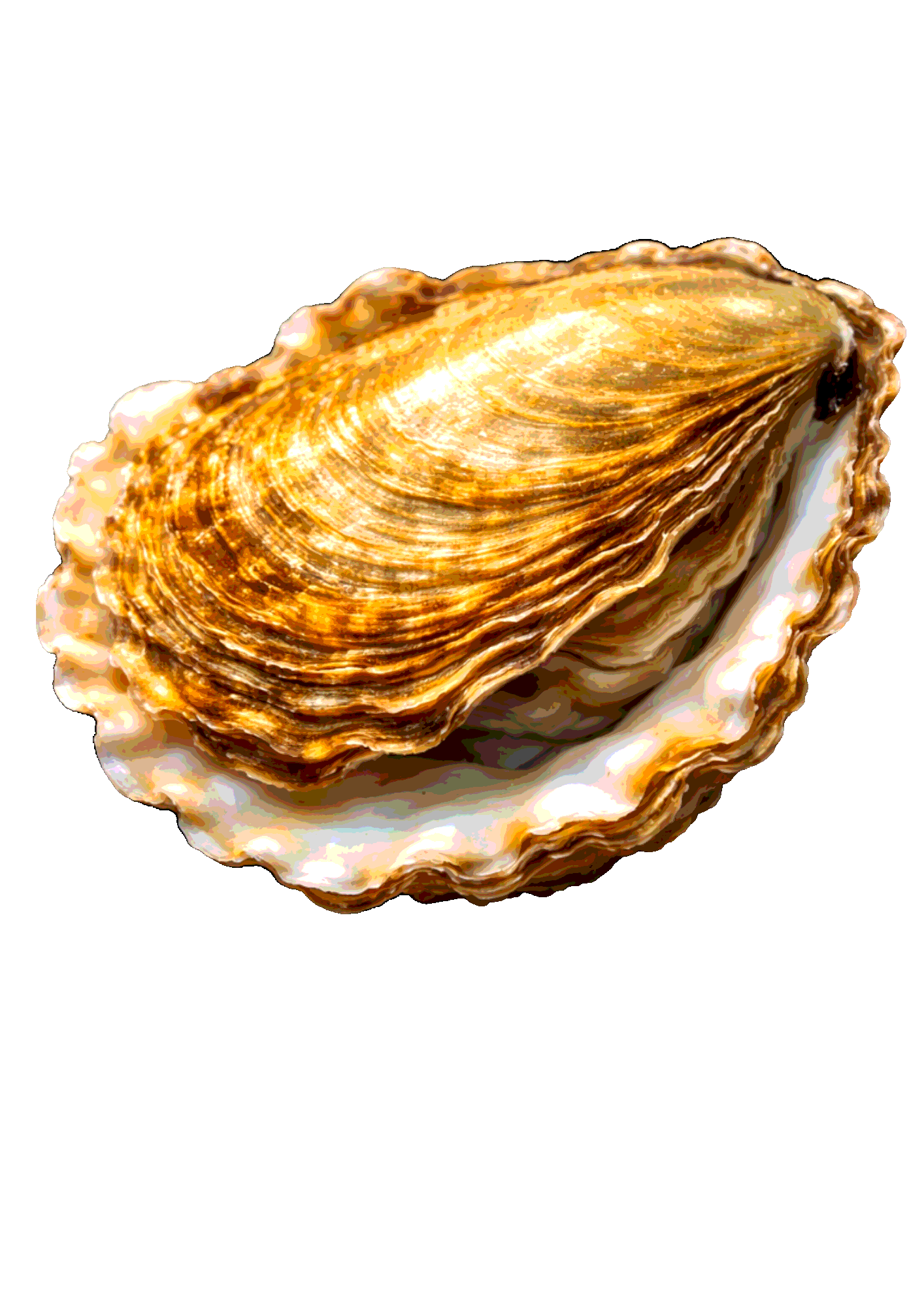Howth Guinness Oyster & Music Festival