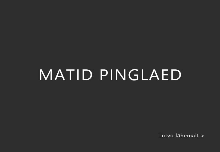 Pinglagede paigaldus - Pinglaed ja kaasaegsed valguslahendused SkyStyle