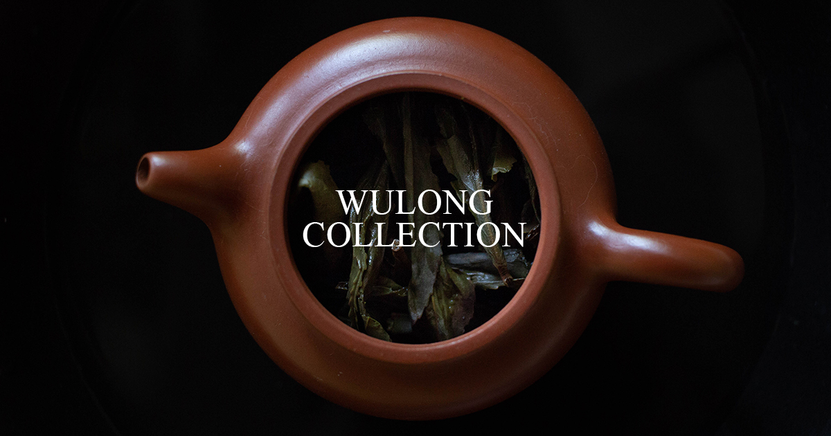 Premium Wulong Tea Collection at AN SHIM TEA