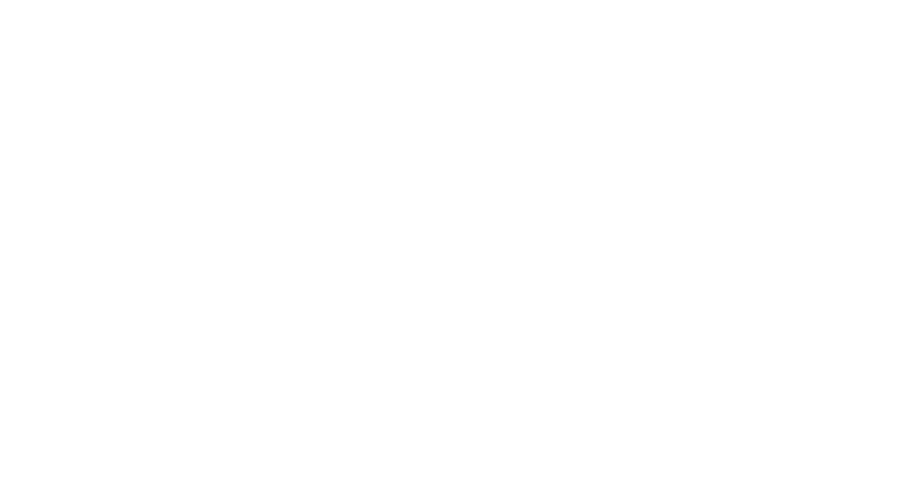 Endo Sapiens by Domenico Ricucci