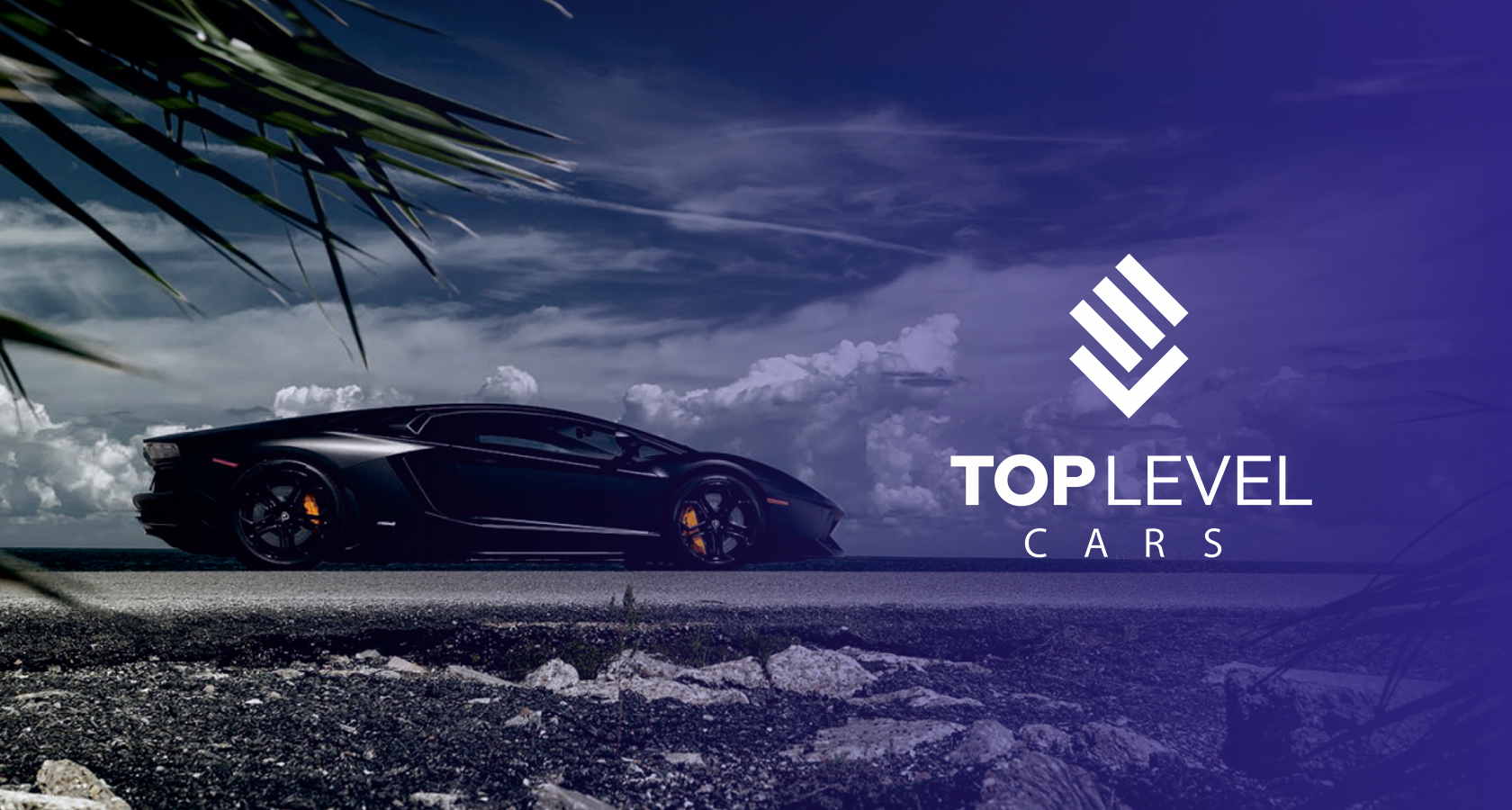 Diagnostics and Care For Your Car | Top Level Cars