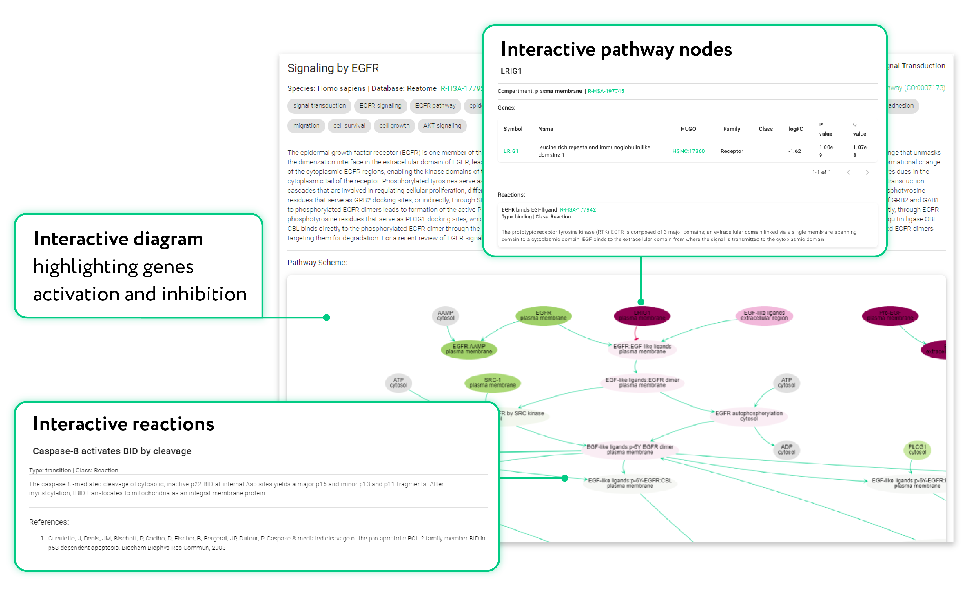 Affected Pathways | PandaOmics