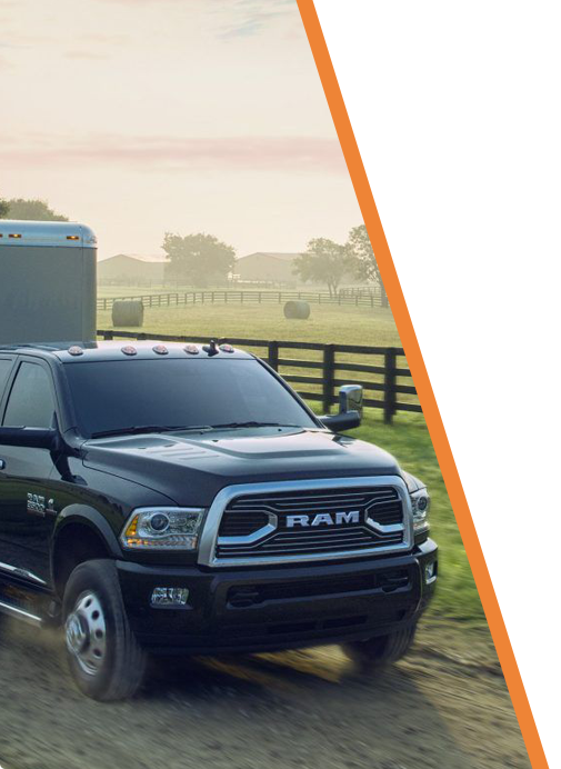 FoxCarriers | Your reliable logistics partner