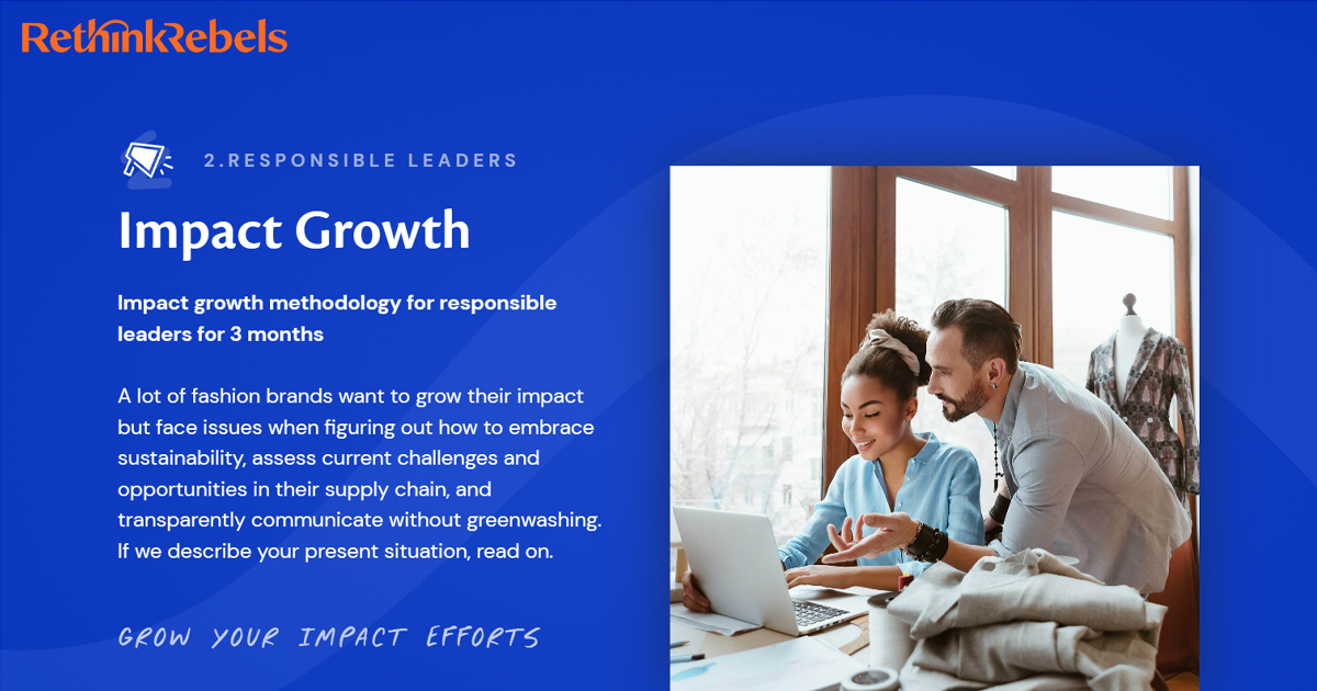 Business Sustainability Strategies| Impact Growth