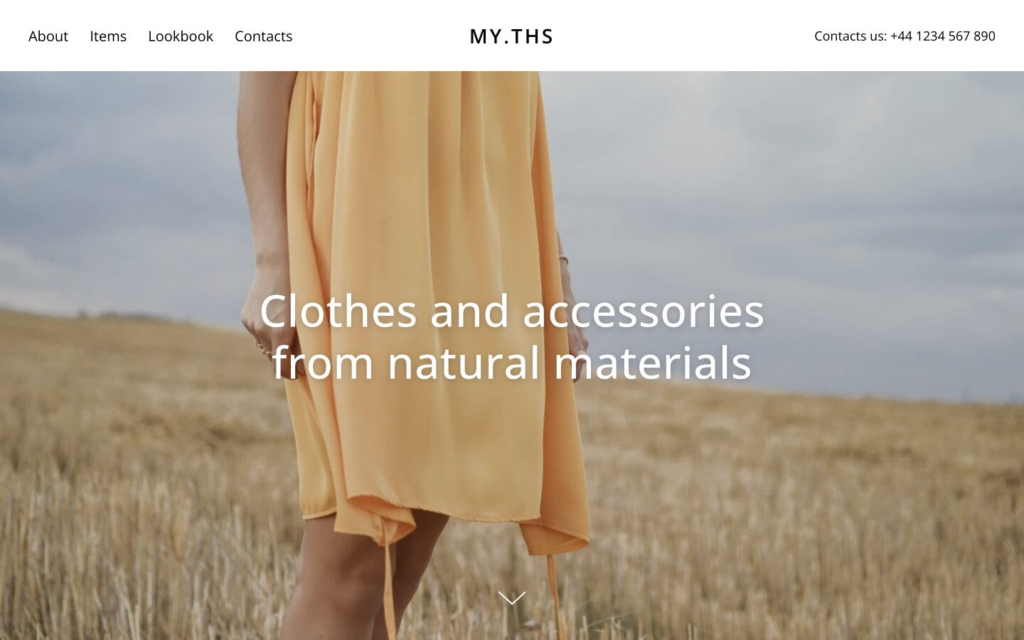 Create Your Online Store on Tilda