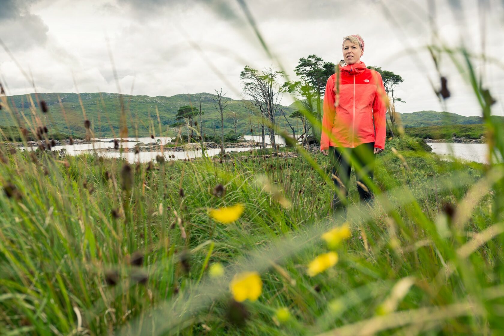 The Inside Story On The Wild In Me Series - An Interview With John Muir ...