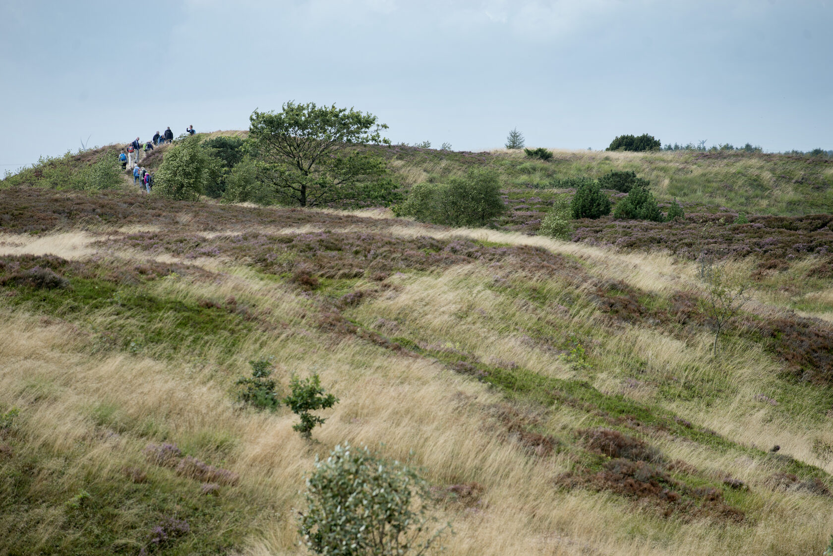Case: Samlende identitet og brugbar værktøjskasse til Hærvejen