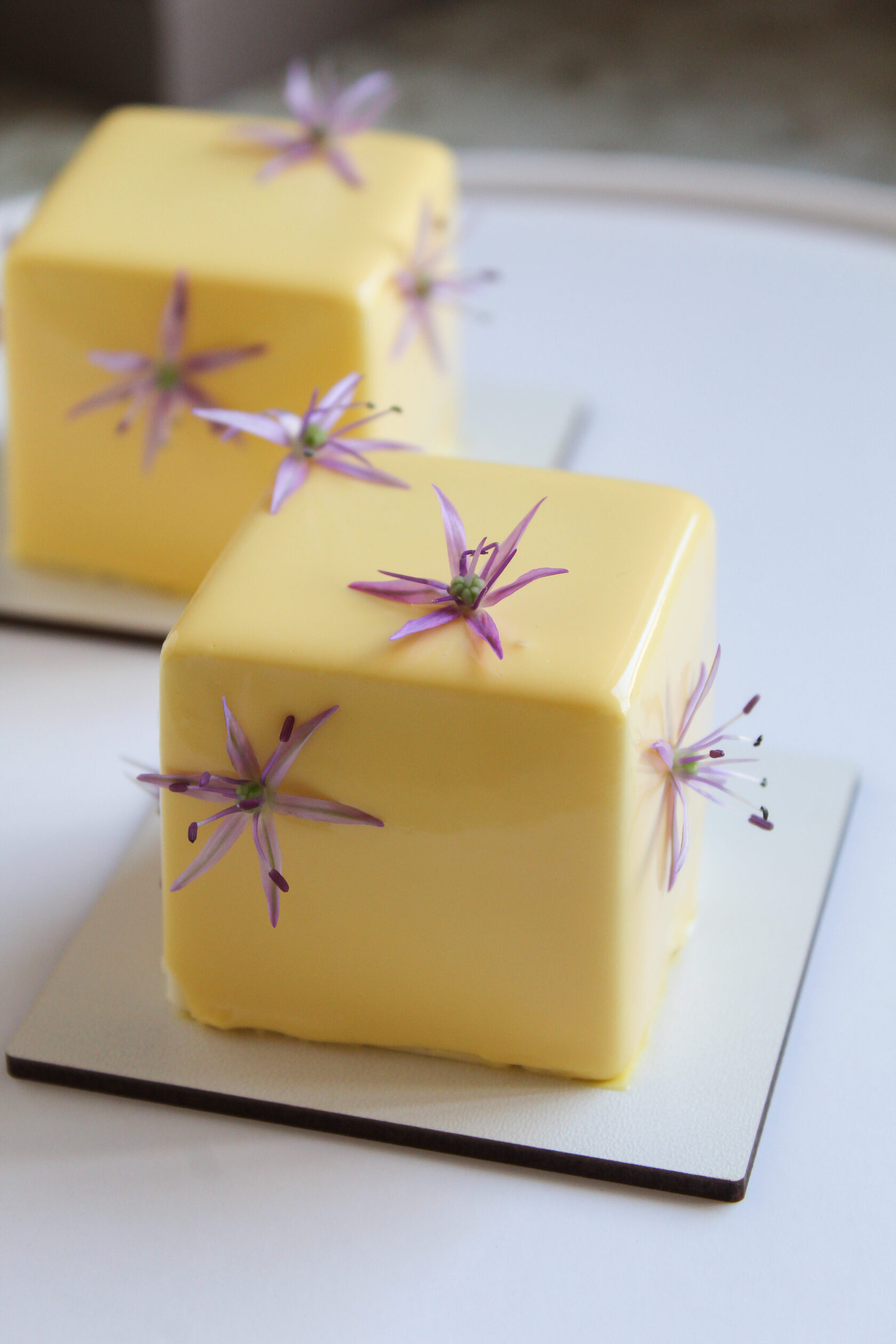 Mousse cube