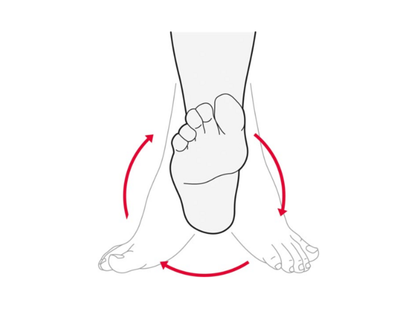 Mastering the Dolphin Kick: Techniques for Effortless Speed