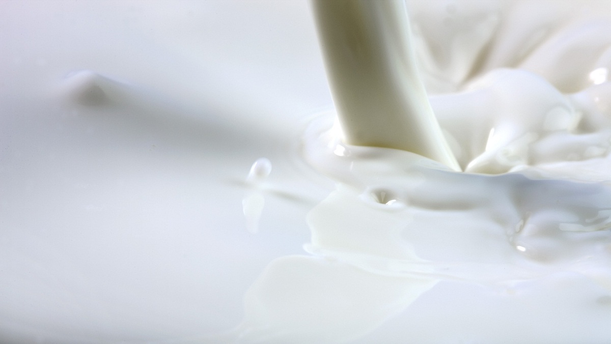 Milk