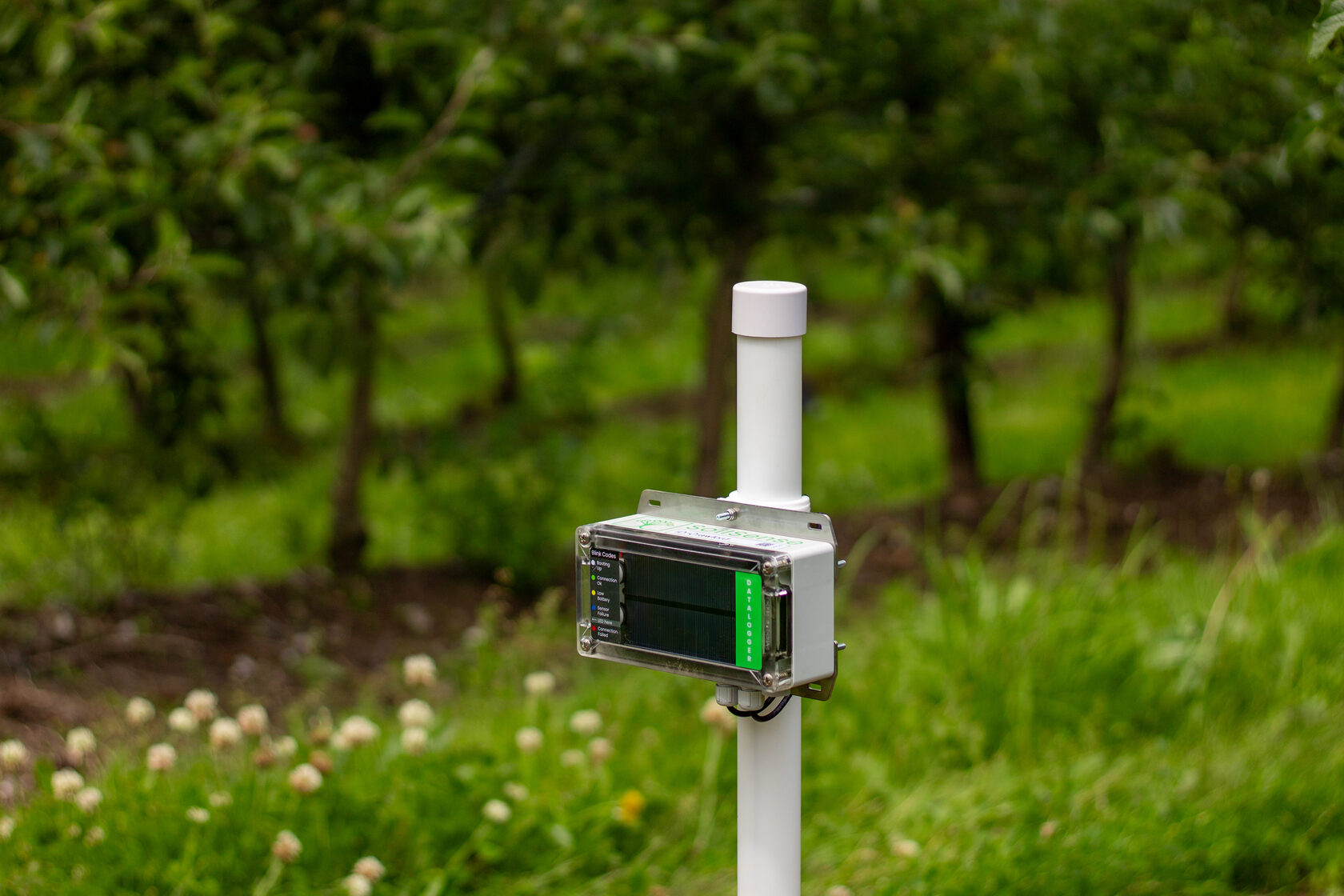 SoilSense - soil moisture sensors for the future of agriculture